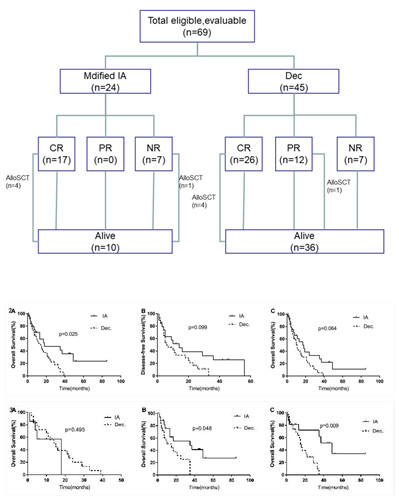 A MODIFIED IA REGIMEN LEADS TO DECREASED MRD LEVELS AND A SURVIVAL ...