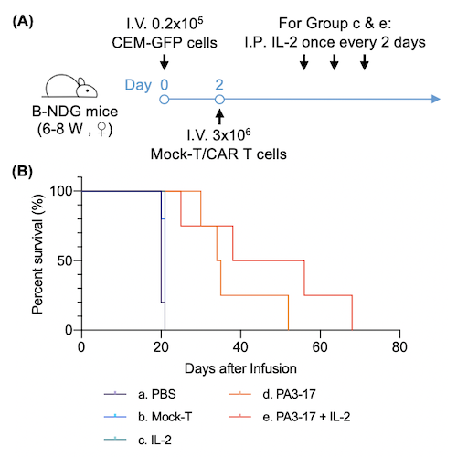 CD7 NANOBODY-DERIVED ANTI-CD7 CHIMERIC ANTIGEN RECEPTOR T-CELLS.... EHA ...